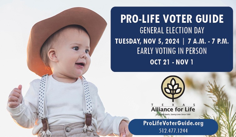 2024 General Election Endorsements