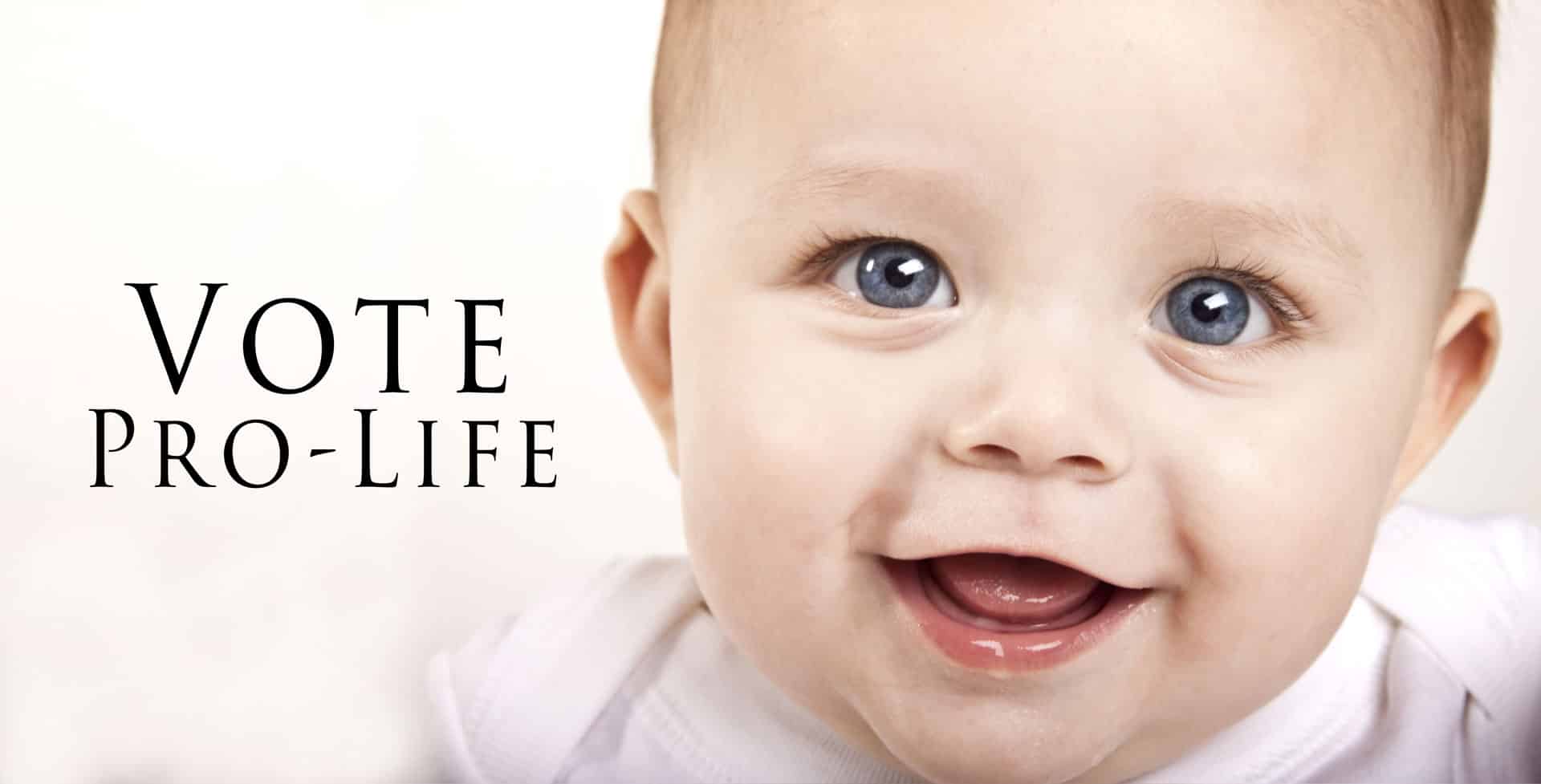 Pro-Life Voter Guide - Texas Alliance for Life